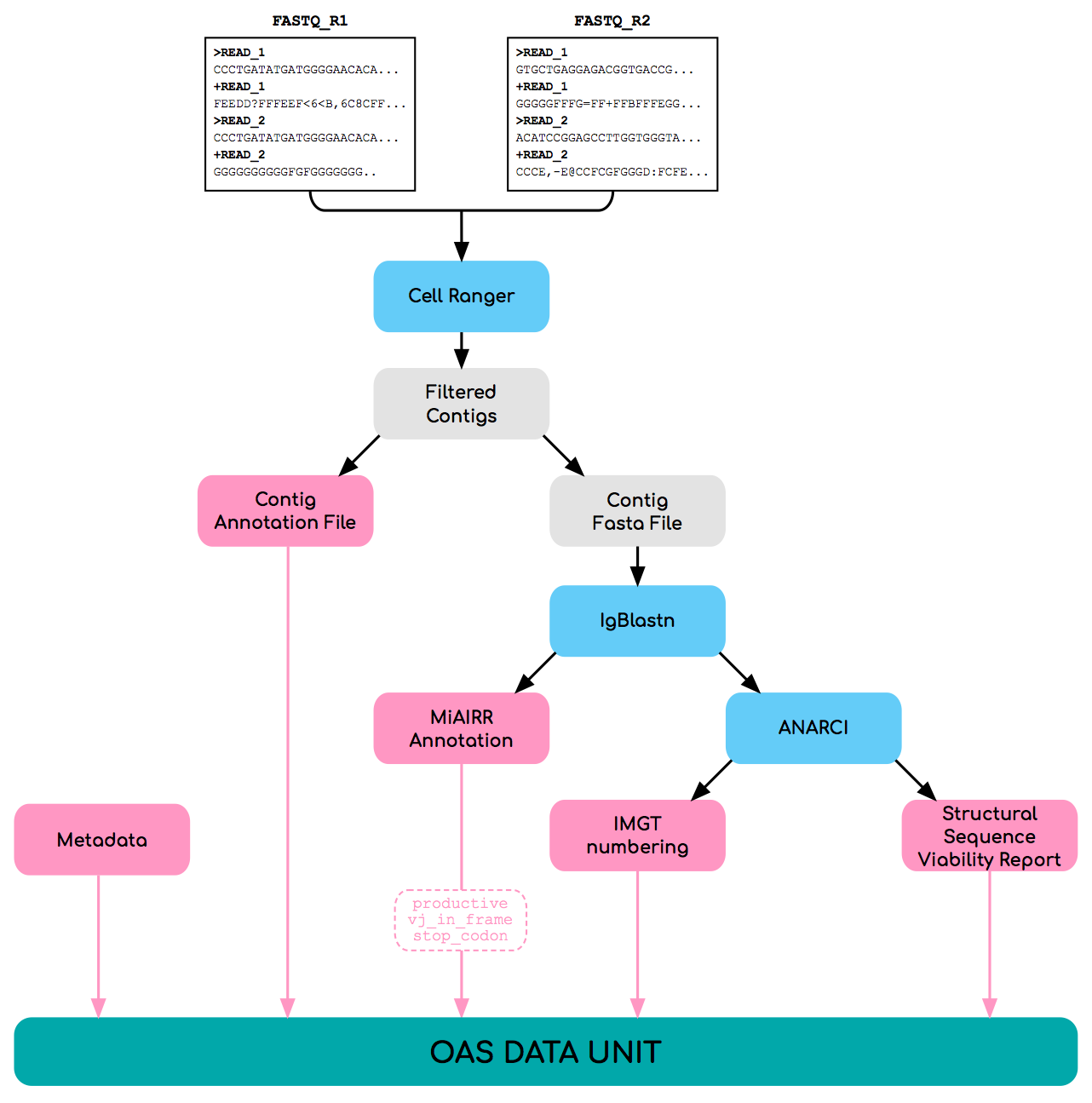 OAS: Observed Antibody Space